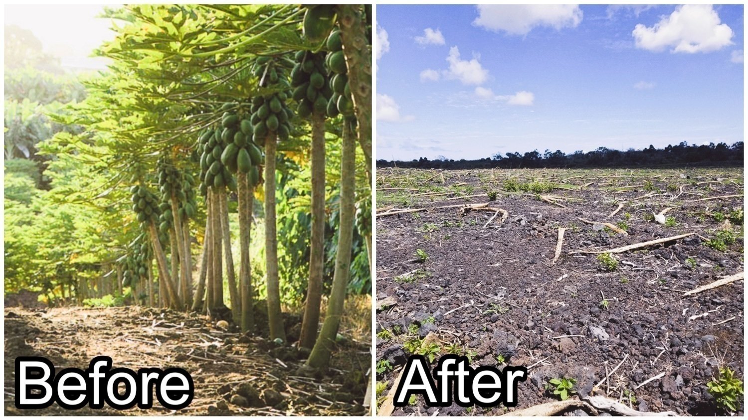 Petition · Increase Relief Funds for Farmers from the Noninsured Crop ...