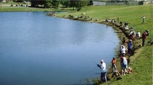 Petition · Petition to remove persons/residents from Luther Lake. Make ...