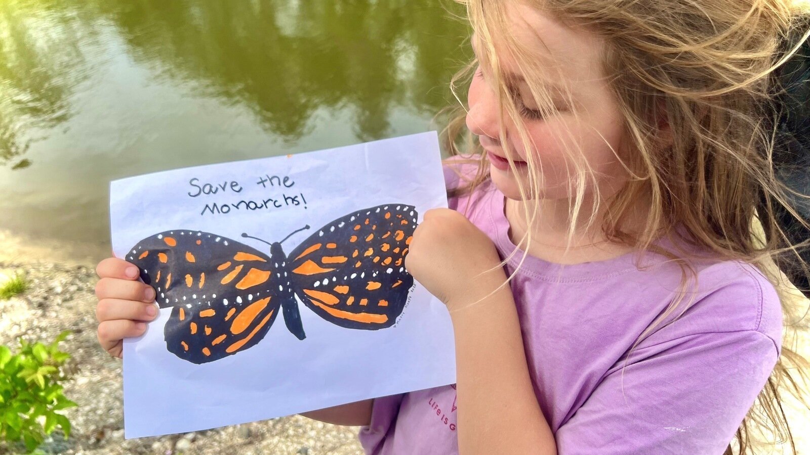Petition · Protect Monarch Butterflies by Designating them a Threatened ...