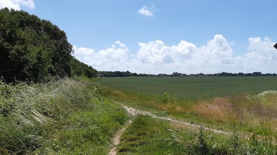 Petition · Oppose the West Bersted Development - United Kingdom ...