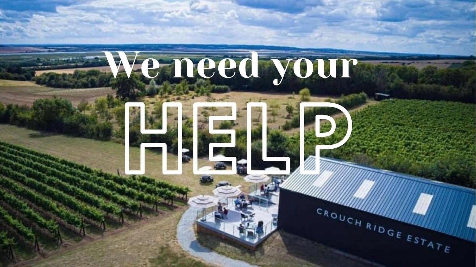 Petition · Petition for a café/restaurant at Crouch Ridge Vineyard ...