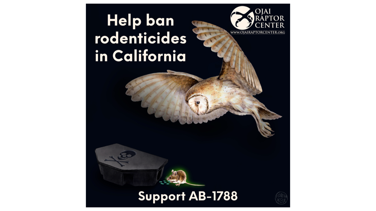 Petition · Support the ban on rodenticide use in California! Vote YES ...