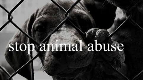 Petition · Stop Animal Abuse - Philippines · Change.org