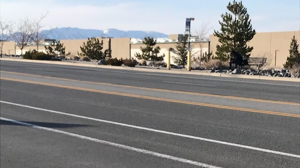 Petition · Crosswalks Needed at Chewy & Amazon Bus Stops - Reno, United ...