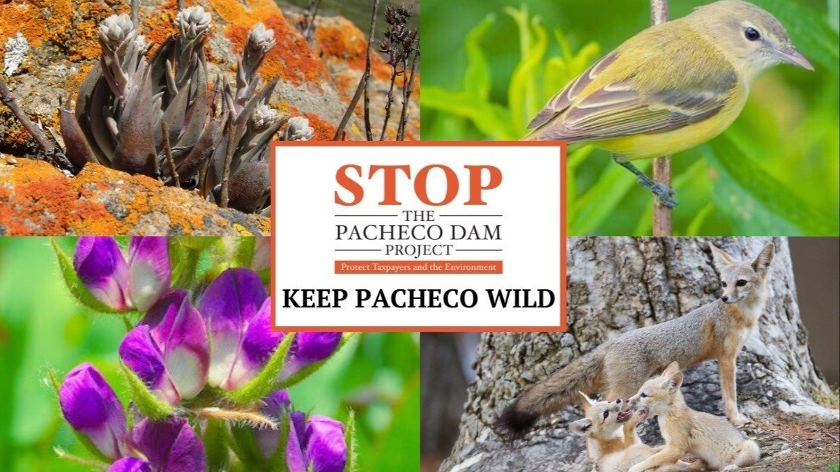 Petition · No EPA Funding for Destructive New Dam on Pacheco Pass ...
