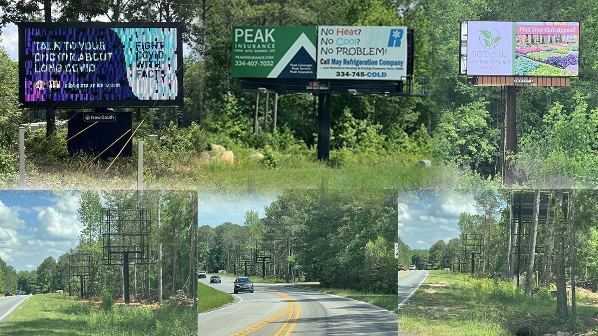 Petition · Support Annexation of Lee County Islands - Auburn, United ...