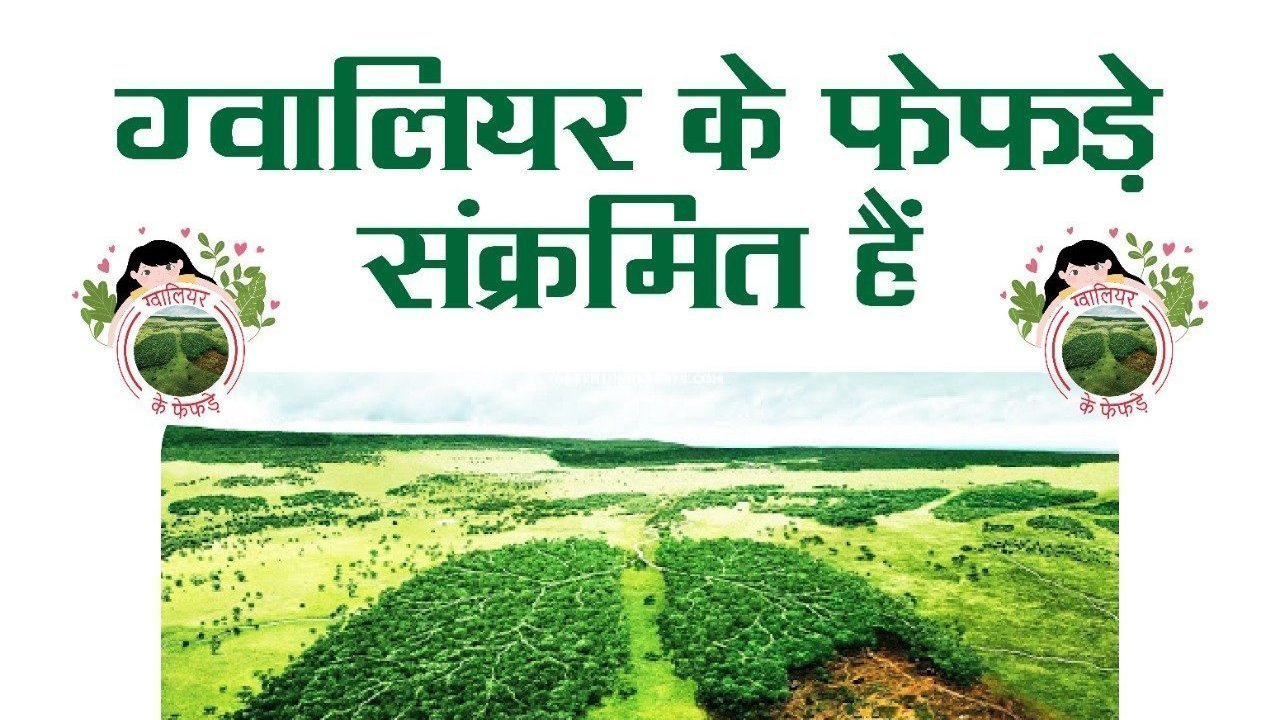 Petition · Save Gwalior Ke Fefde - India · Change.org