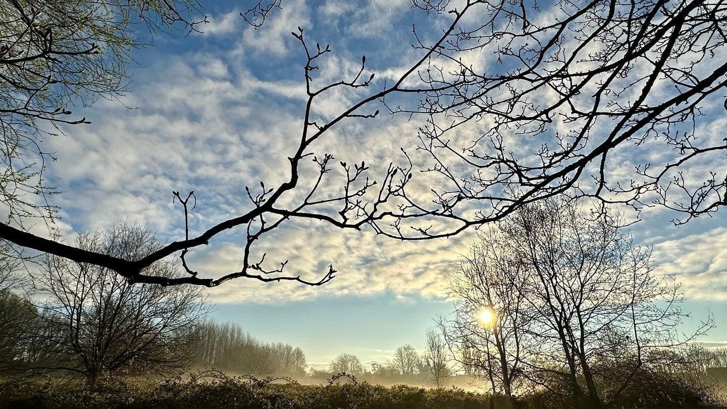 Petition · Save Ryebank Fields - United Kingdom · Change.org