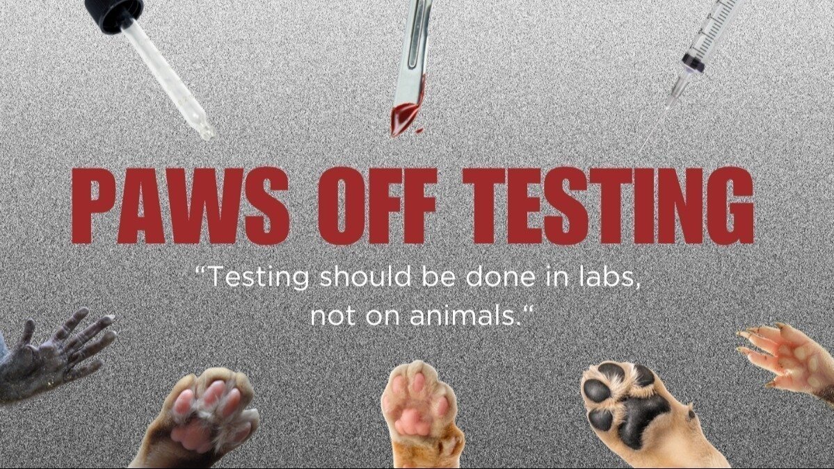Petition · Paws Off Testing: Animals Belong Outside the Lab ...