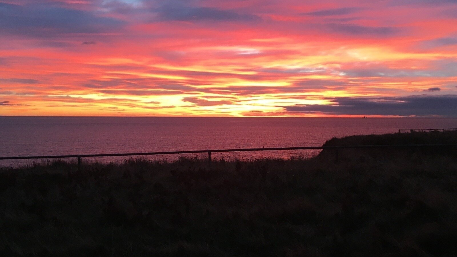 Petition · STOP South Tyneside Council's Installation of Lampposts on ...