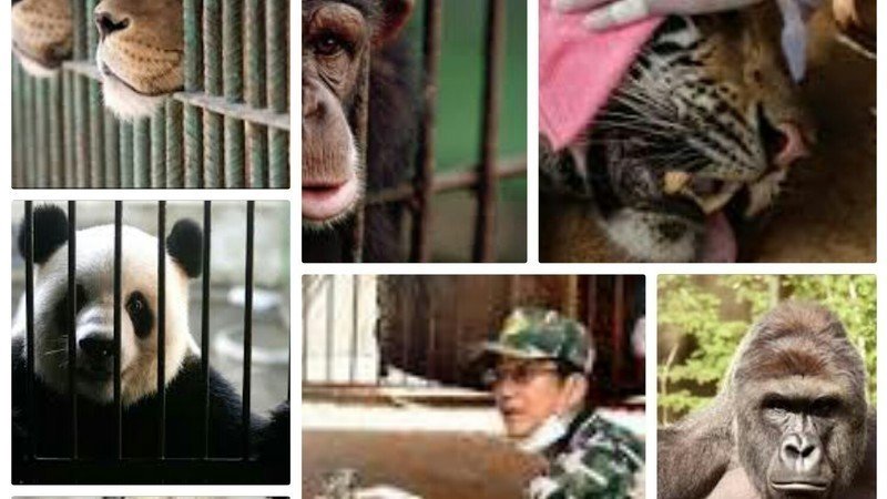 Petition · Citizens of the world, parents of young impressionable kids ...