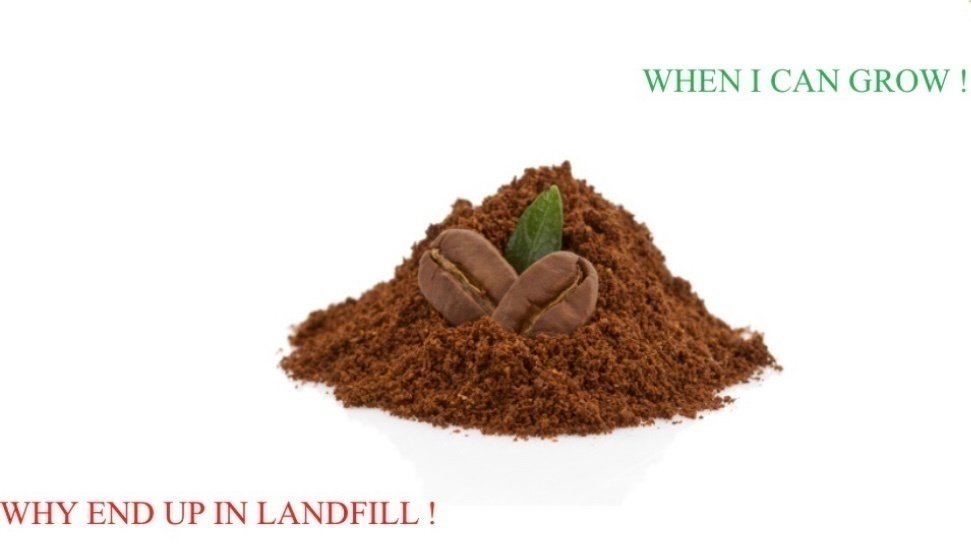 Petition · I wan’t one step from everyone towards environment ...