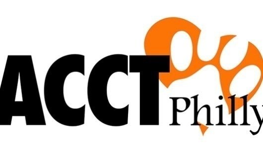 Petition · Removal of Sarah Barnett as Executive Director at ACCT ...