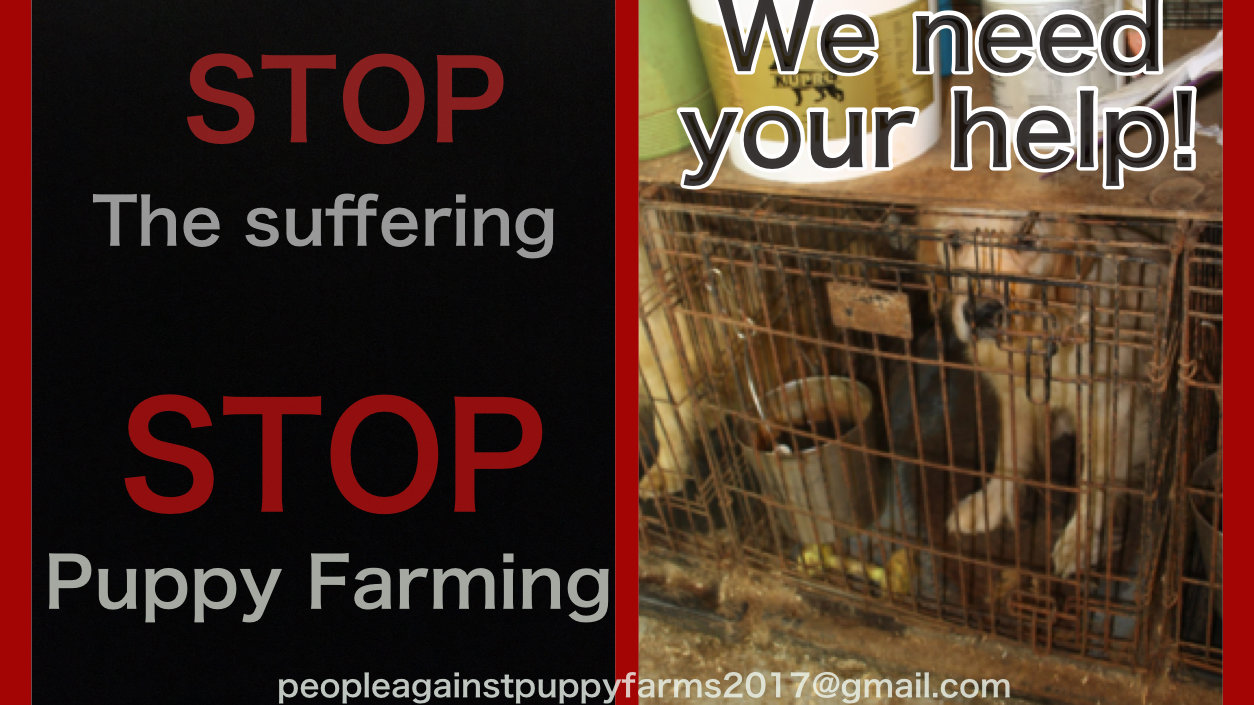Petition · Call to end to Puppy Farming in Western Australia ...