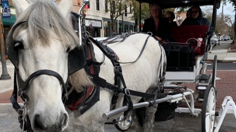 Petition · Save Carriage Tours, Save Horses! - Wilmington, United ...