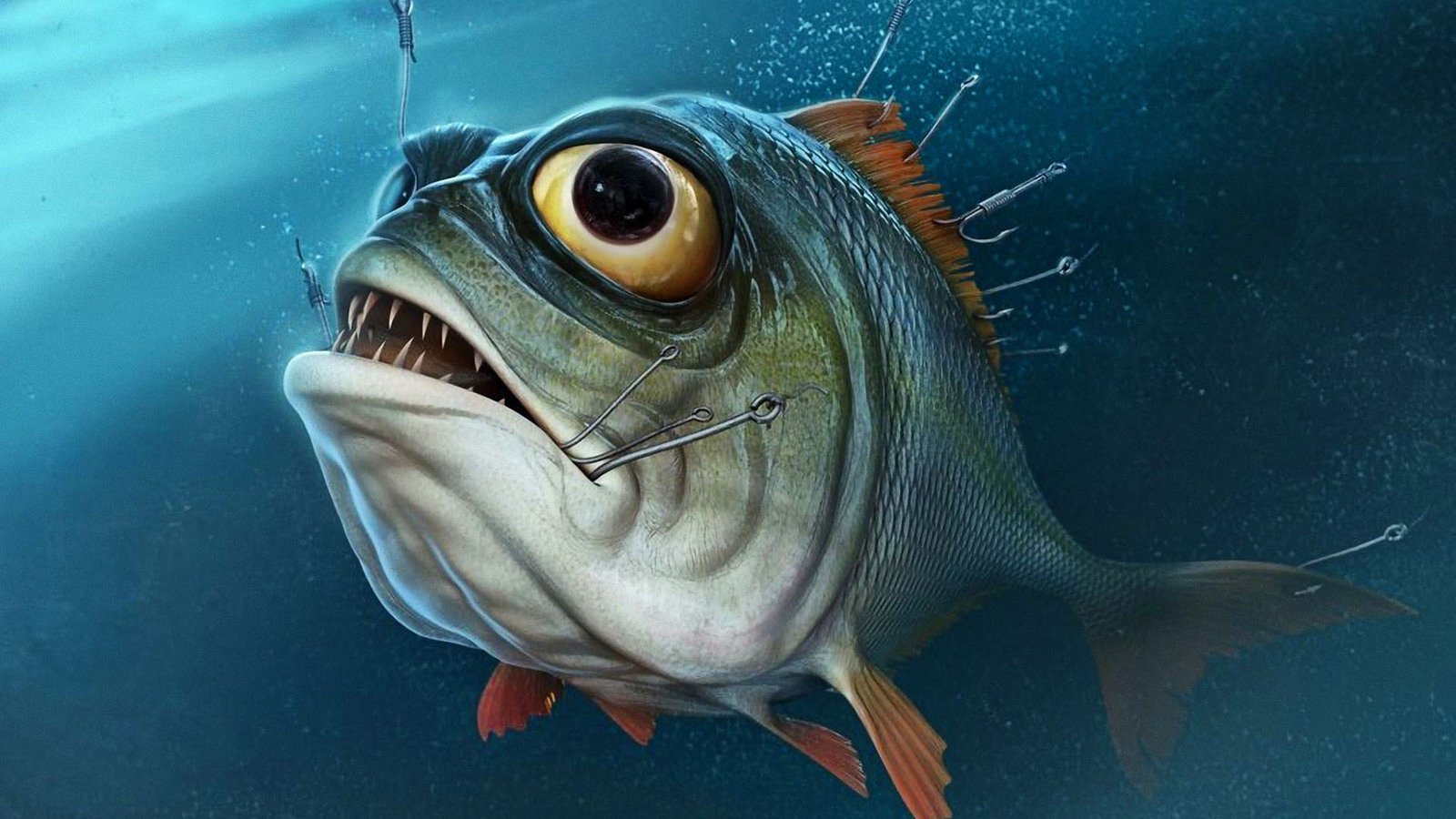 Petition · Help Stop Elias the Fish! - Australia · Change.org