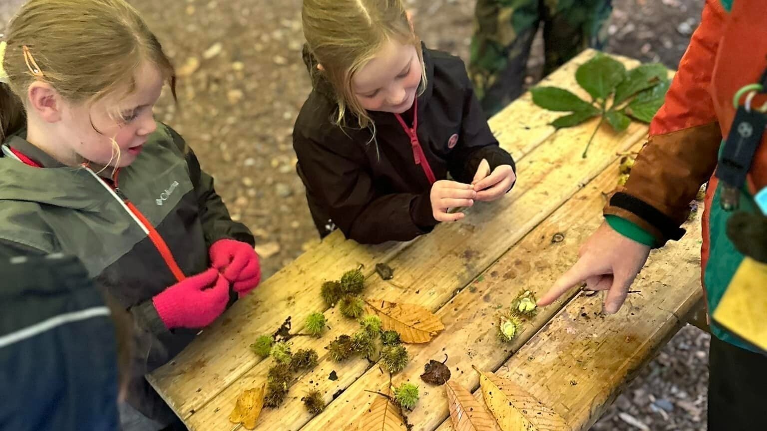 Petition · Incorporate Outdoor Education into Northern Ireland ...