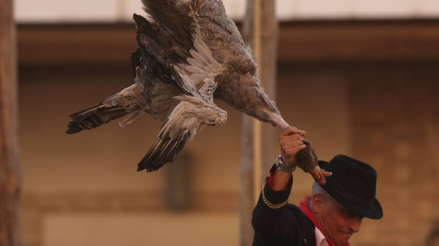 Petition · End Goose Decapitating Festival - United States · Change.org