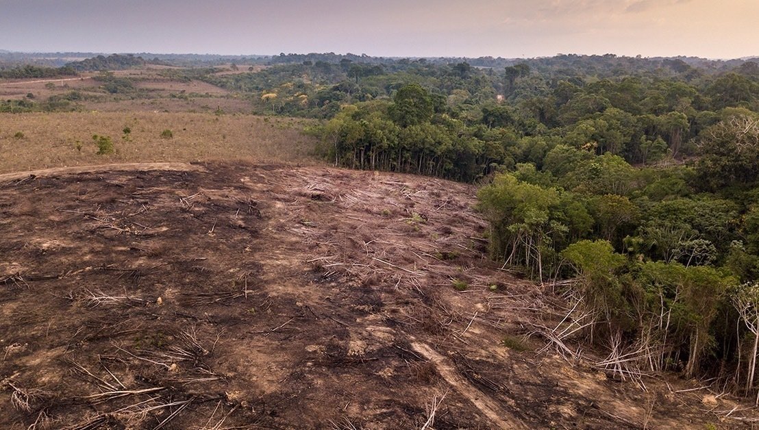 Petition · Add an exhibit to the Smithsonian educating about rainforest ...
