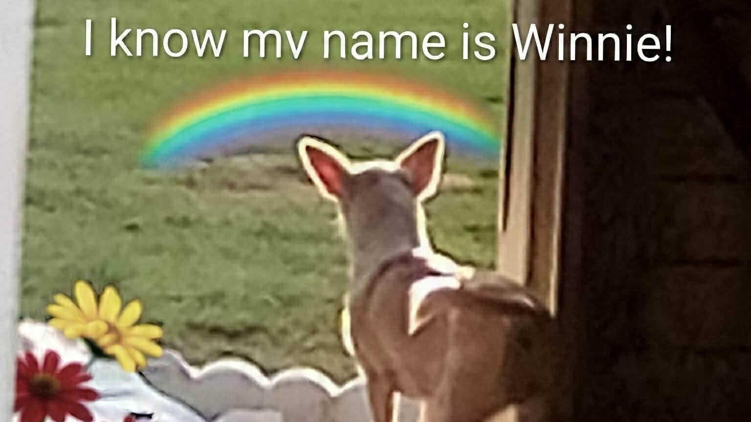 Petition · I know my name is Winnie - United States · Change.org