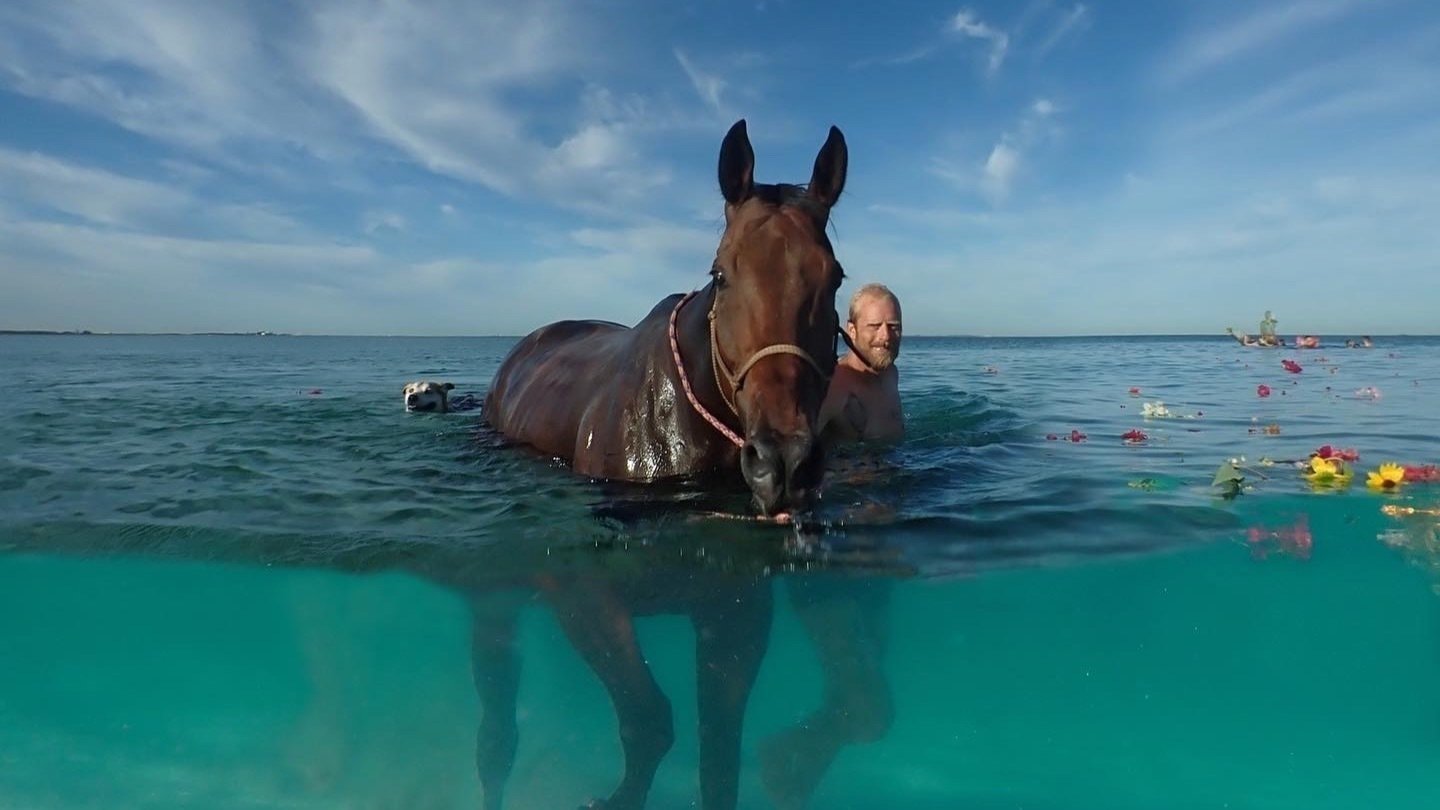 Petition · Save Randwick Stables’ Wildlife Corridor - Cockburn Central ...