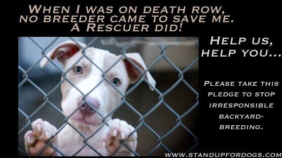 Petition · DOG LOVERS EVERYWHERE: SIGN PETITION (A 3-PART PLEDGE) TO ...