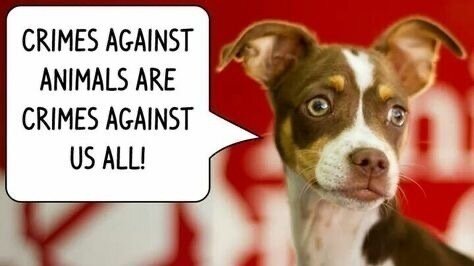 Petition · Animal Welfare - Canada · Change.org