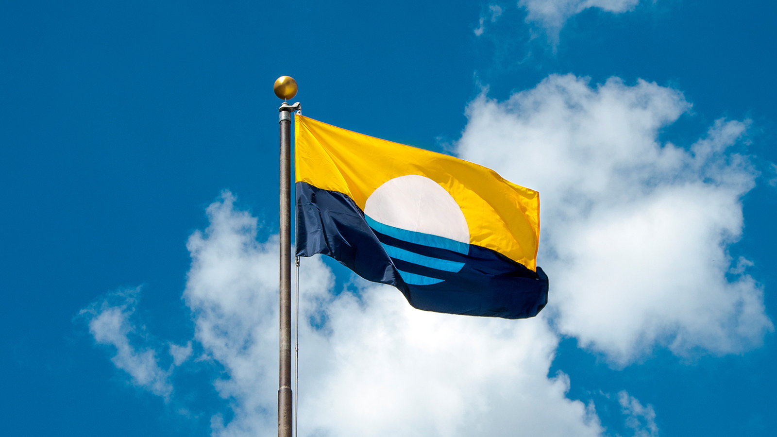 Petition · Make the People's Flag of Milwaukee the Official City Flag ...