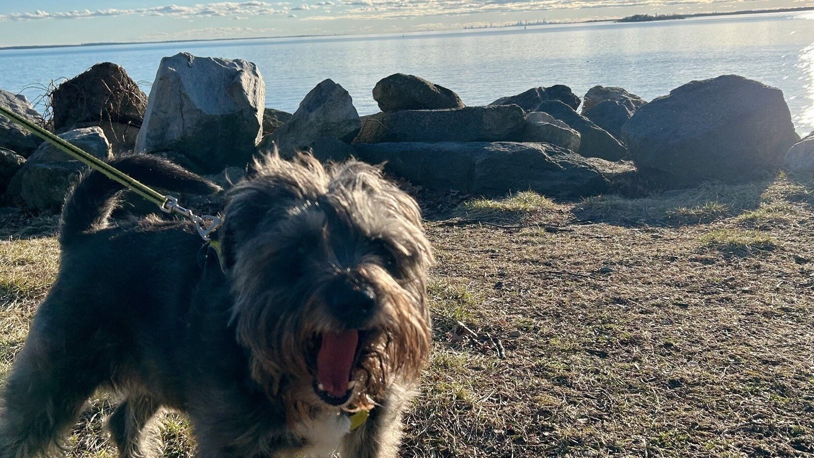 Petition · Extend Dog Access at Tod's Point from October 1 - March 31st ...