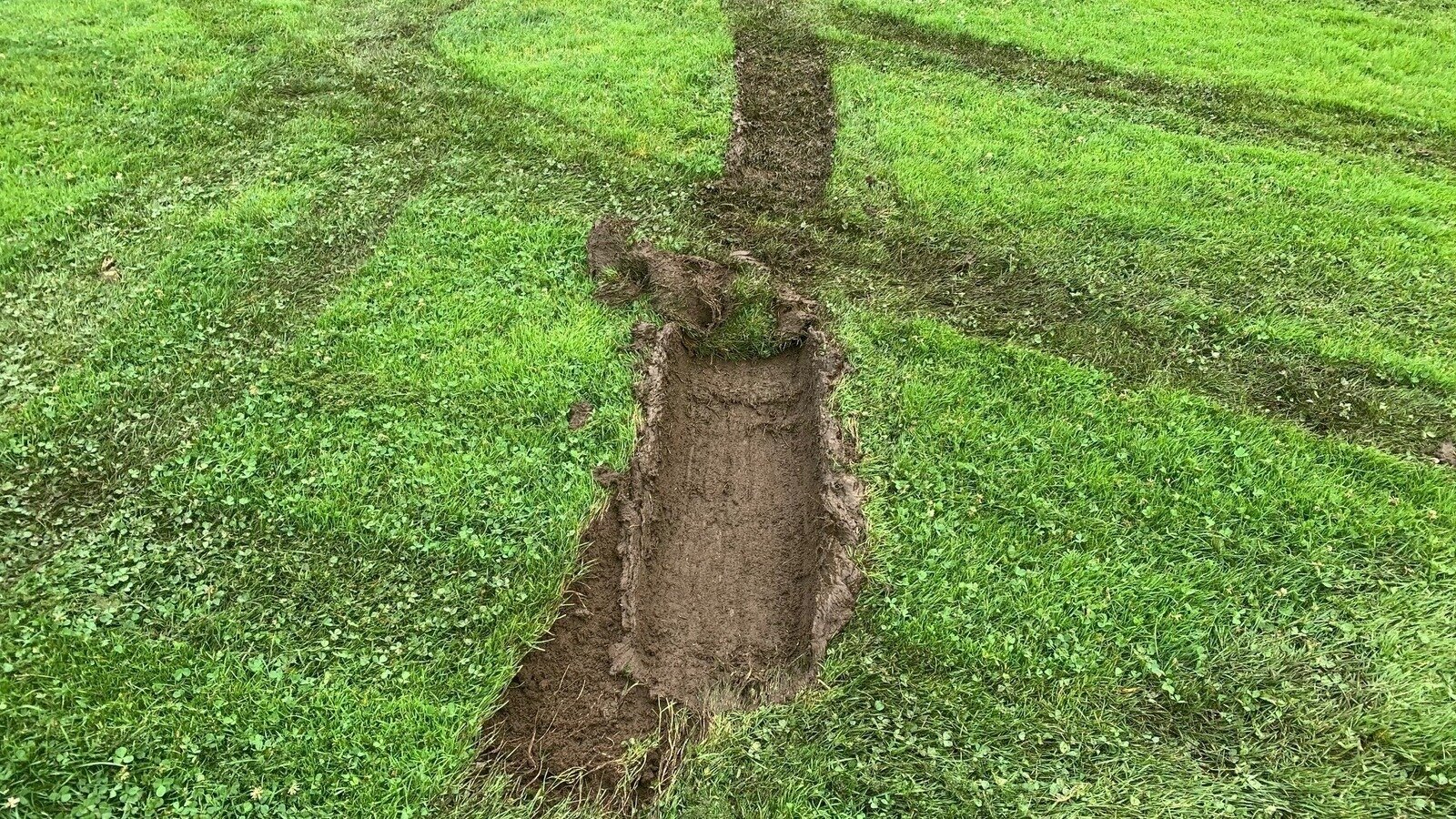 Petition · Support for the Use of Synthetic Turf in Sunnyvale Parks ...