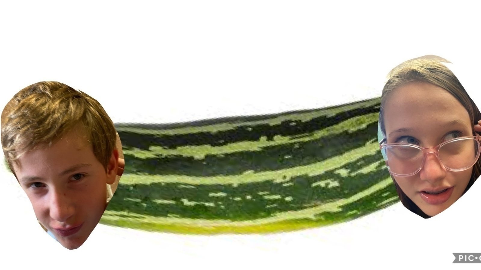 Petition · Zucchini Rights - United States · Change.org