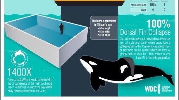 Petition · Stop SeaWorld advertising - United States · Change.org