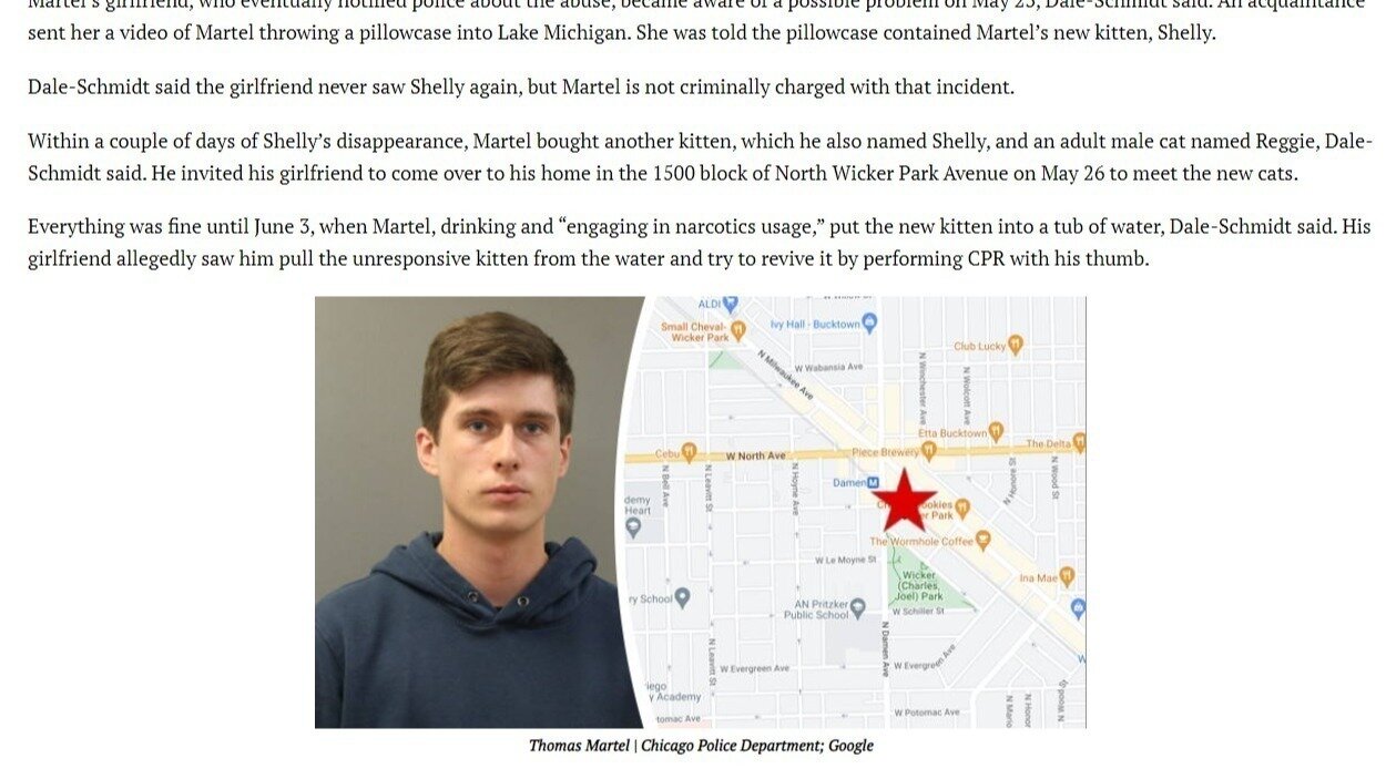 Petition · JUSTICE FOR CHICAGO KITTENS - PUT THOMAS MARTEL IN JAIL ...