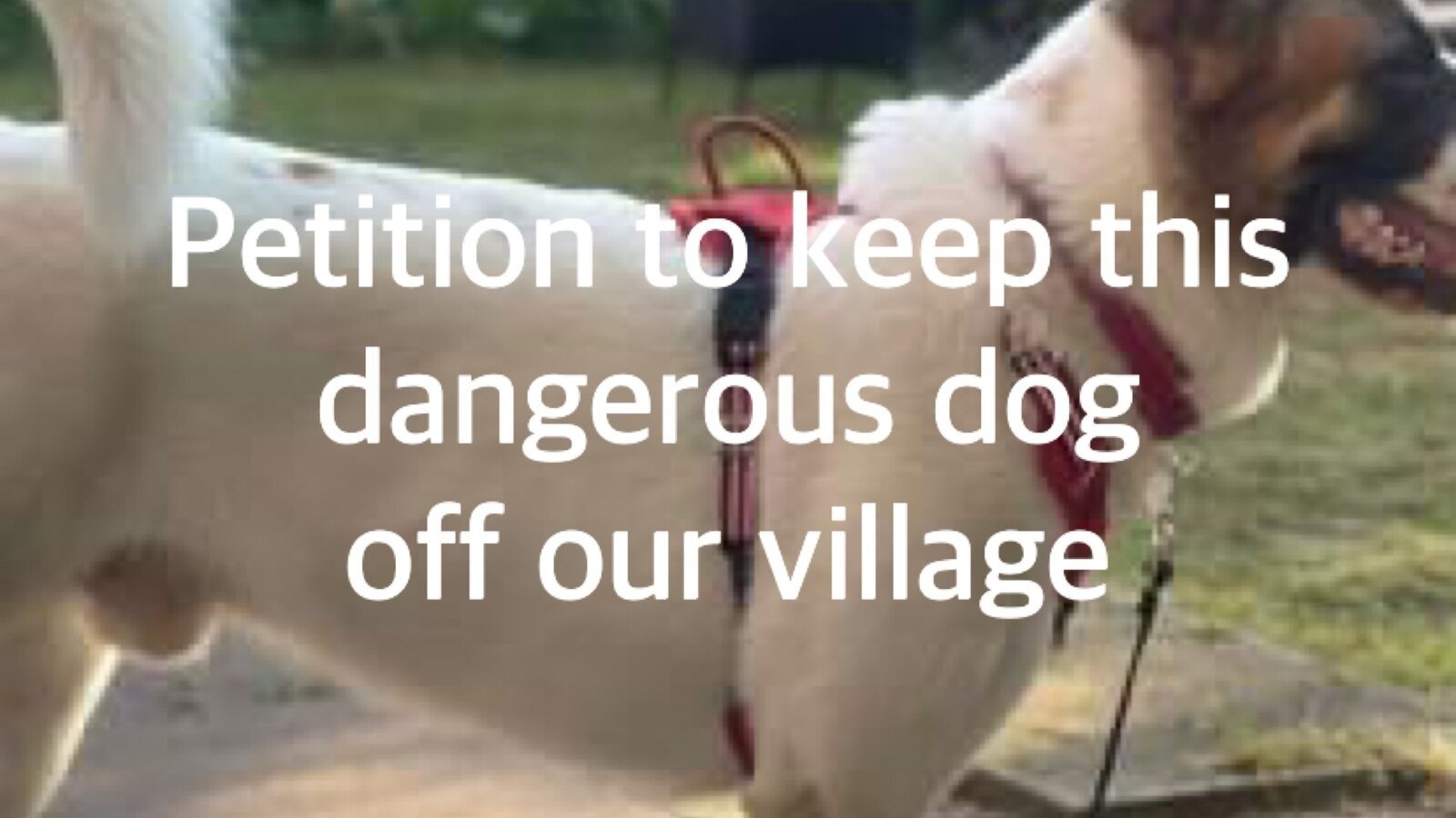 Petition · Stop dangerous dog from returning to our village - United ...