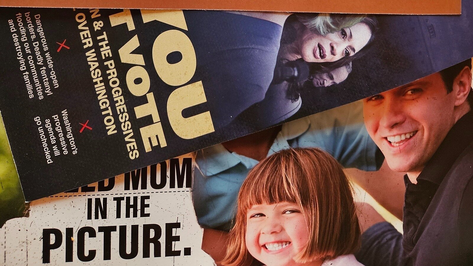 Petition · Prohibit Politicians from Sending Unsolicited Mailers ...