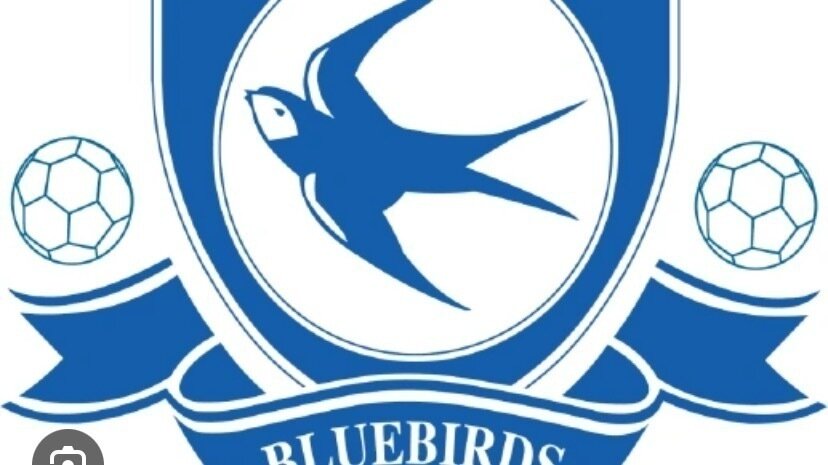 Petition · Restore the Traditional Welsh Dragon on Cardiff City's Crest ...