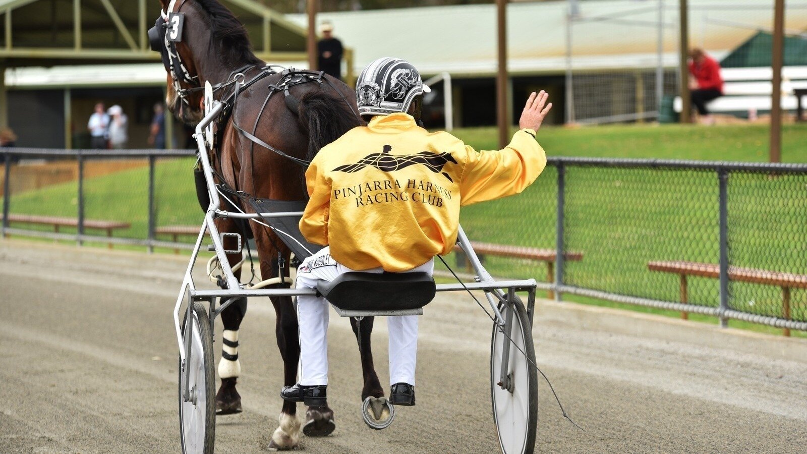 Petition · Upgrade the Public Toilet Facilities and Changerooms at ...