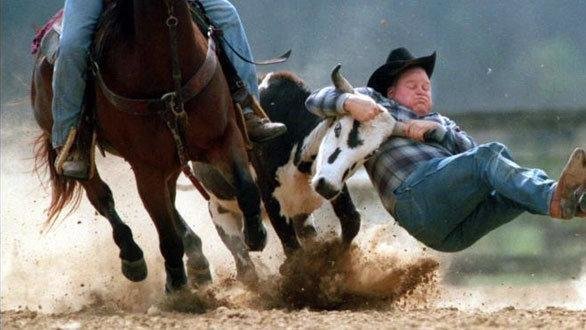 Petición · Que se cancele el "American Extreme Rodeo" en Costa Rica ...