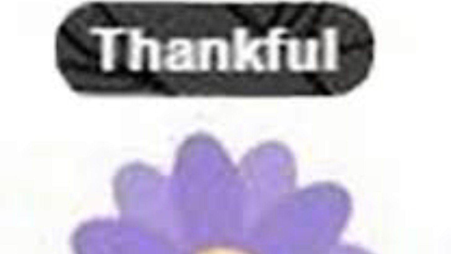 Petition · Keep the 'Thankful' (flower) react option on Facebook ...