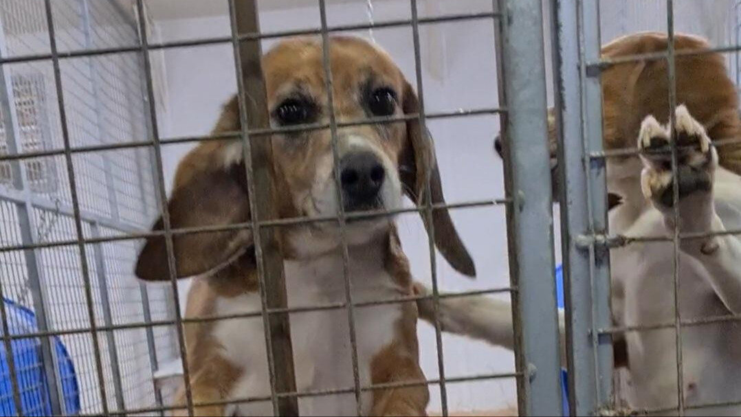 Petition · Demand that Stericycle and Shred-it Boycott MBR Acres ...