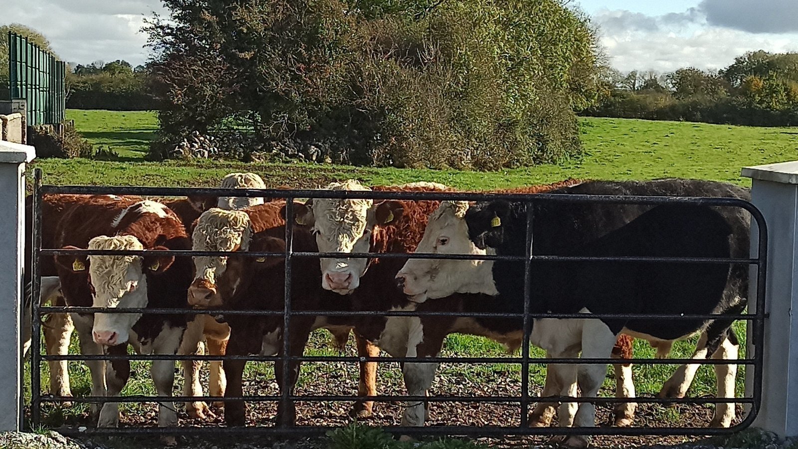 Petition · Help solve financial slavery, the root cause of all ...