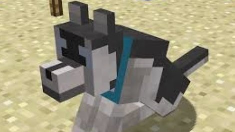Petition · Get different types of dogs into minecraft - United States ...