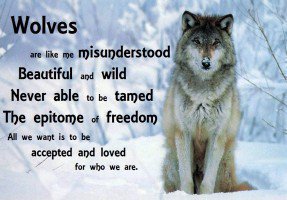 Petition · Save the wolves in Norway - Serbia · Change.org