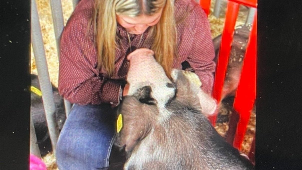 Petition · To bring back FFA cords - United States · Change.org