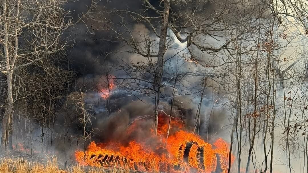 Petition · Impose Heavier Penalties for Repeated Ignition of Fires ...