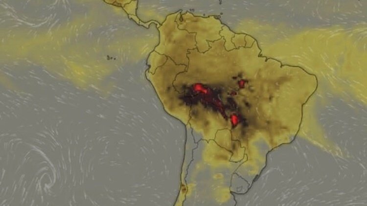 Petition · The Amazon Rainforest Is Burning. · Change.org