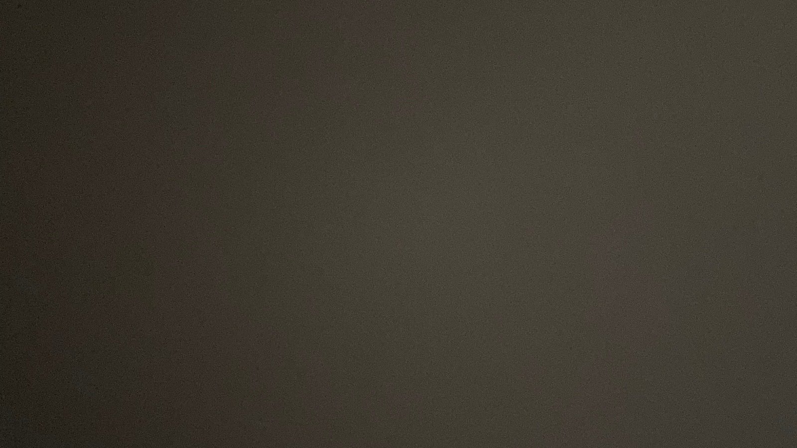 Petition · STOP Elizabeth Collins from her job - United States · Change.org