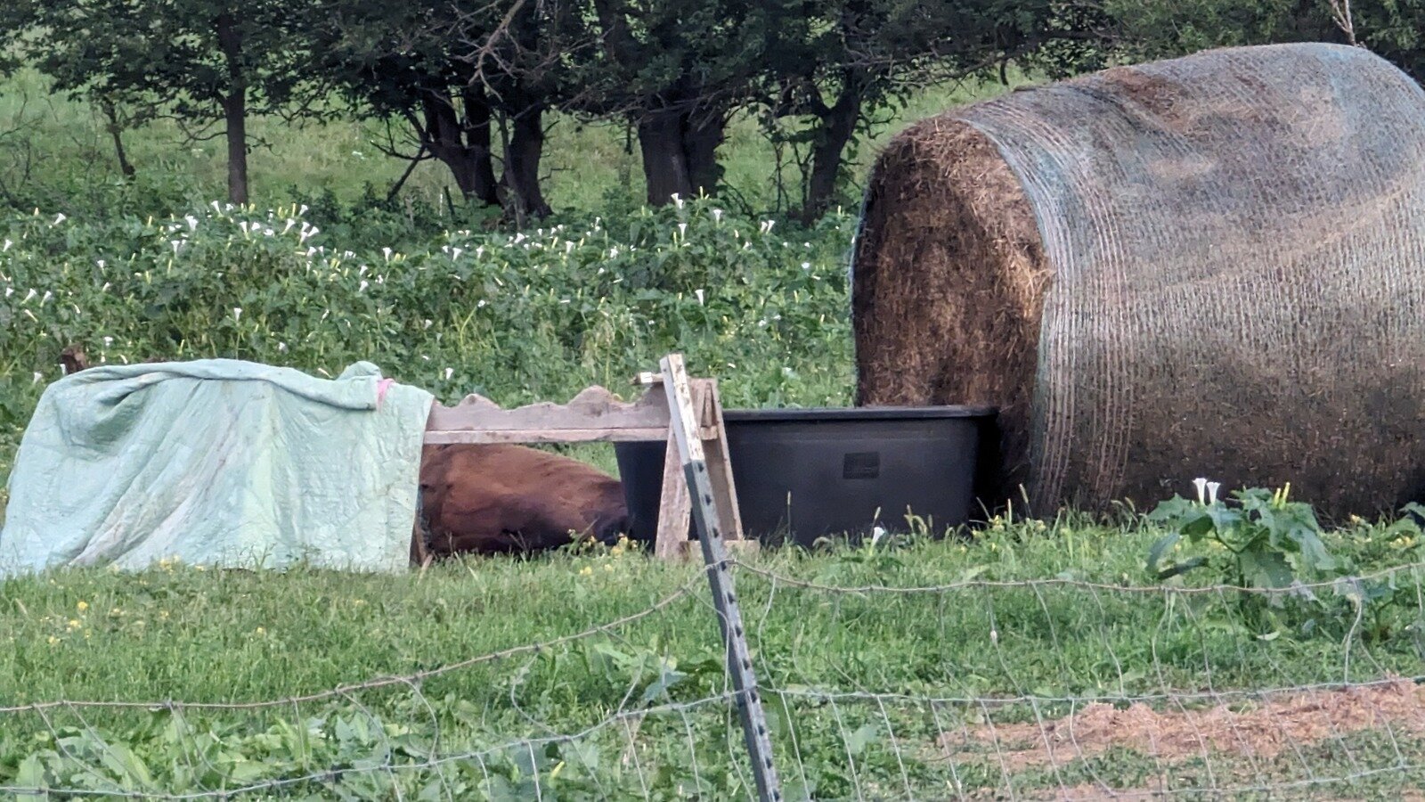 Petition update · Two more weeks have passed and no felony charges have ...
