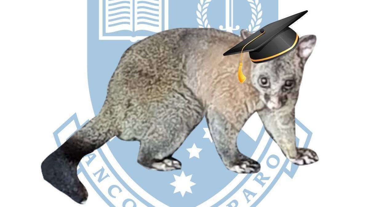 Petition · Change the Monash University mascot to 'Sir John' the possum ...