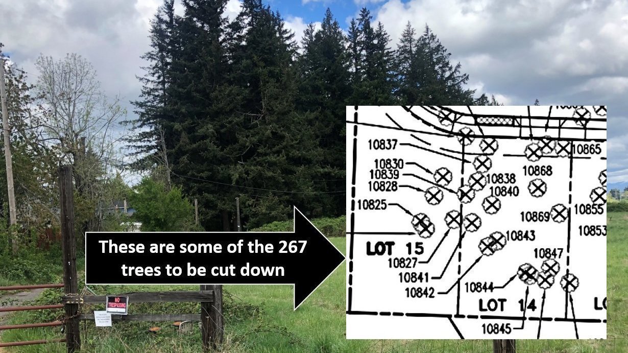 Petition · Save the Shaull property for conservation and migratory ...